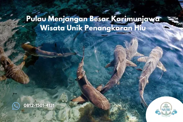 Pulau Menjangan Besar Karimunjawa Wisata Unik Penangkaran Hiu - Nautika ...