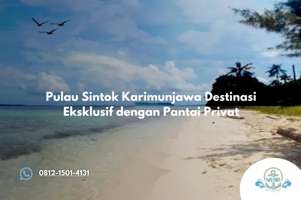 Pulau Sintok Karimunjawa Destinasi Eksklusif dengan Pantai Privat ...